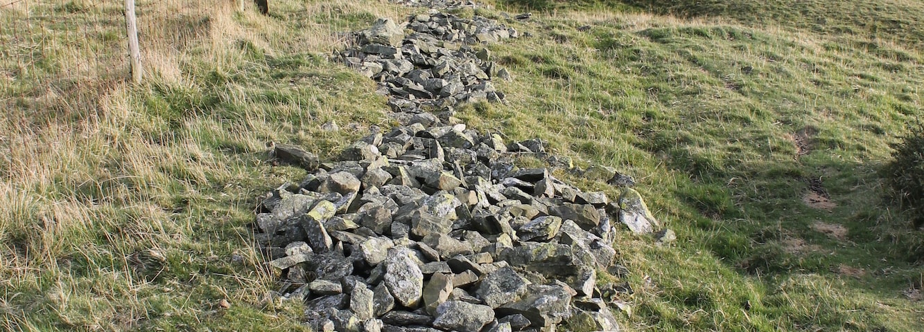 Fallen wal near the summit of Moel y Waun, Clwydian range; east of Pentrecelyn, Denbighshire, north Wales. Posibly Bronze Age.