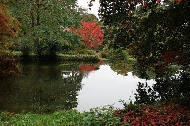 Um rio calmo rodeado por vegetação exuberante e folhagem avermelhada.