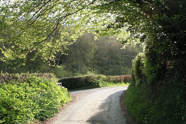 Uma estrada rural estreita cercada por vegetação densa e árvores.