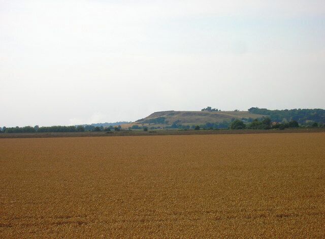 Um extenso campo agrícola plano, com colinas suaves ao longe e algumas árvores esparsas.