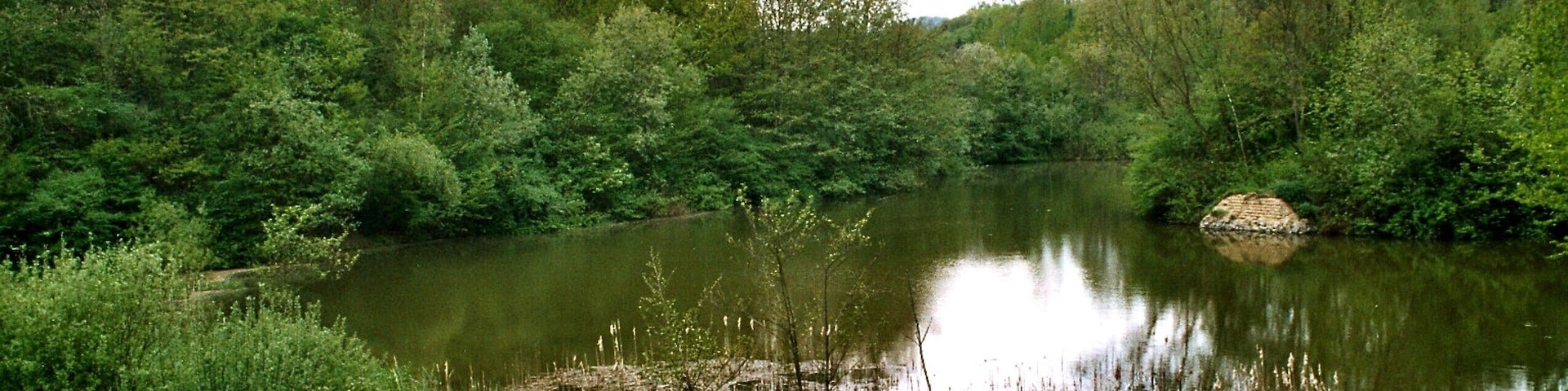 Osterbrücken (St.Wendel), biotop