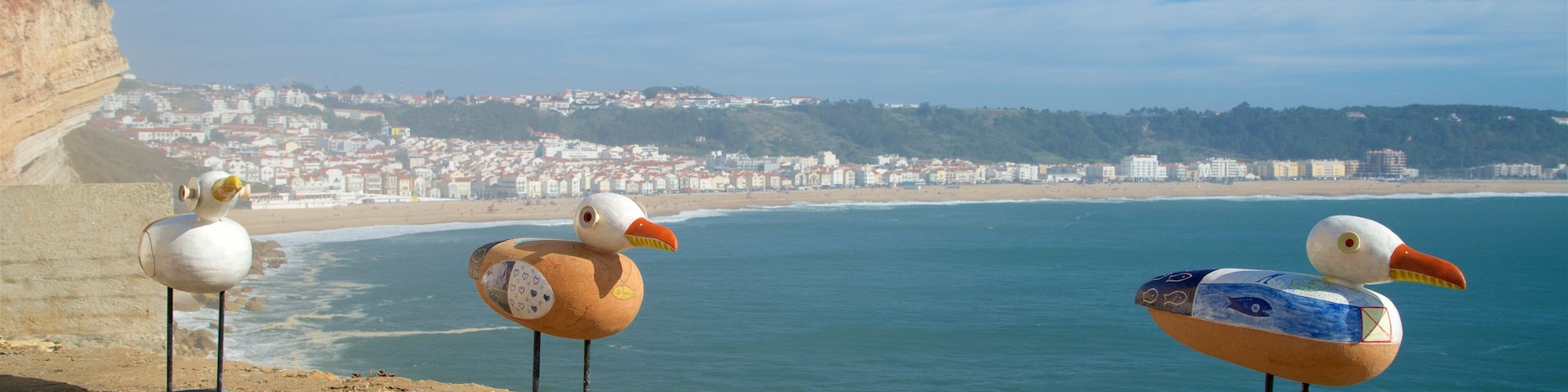 Nazaré que inclui uma cidade litorânea e paisagens litorâneas
