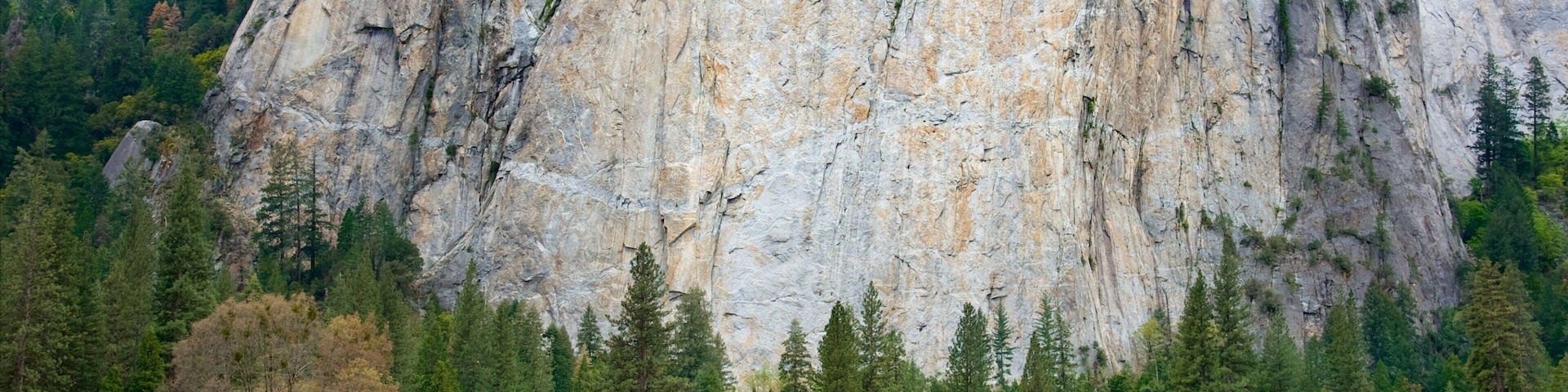 El Capitan Meadow which includes mountains and a garden