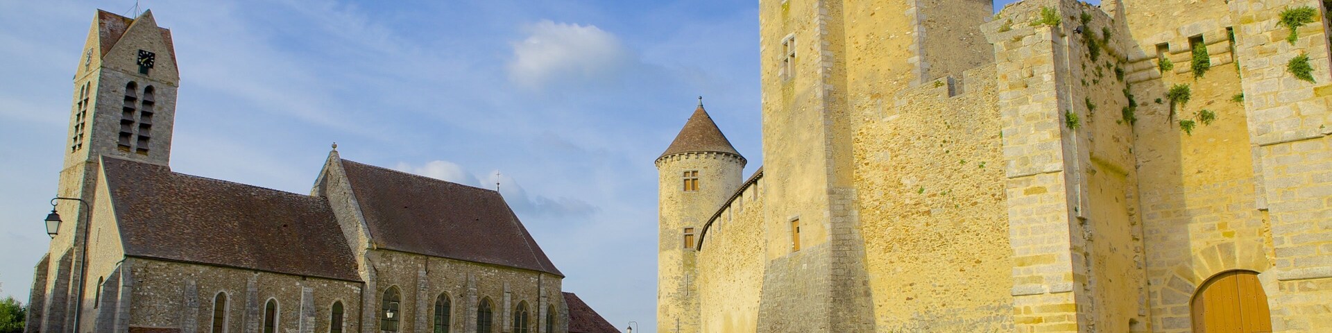 Melun which includes a castle and heritage elements