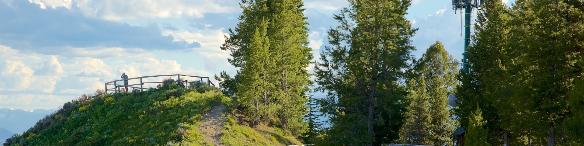 Grand Teton National Park showing tranquil scenes and views