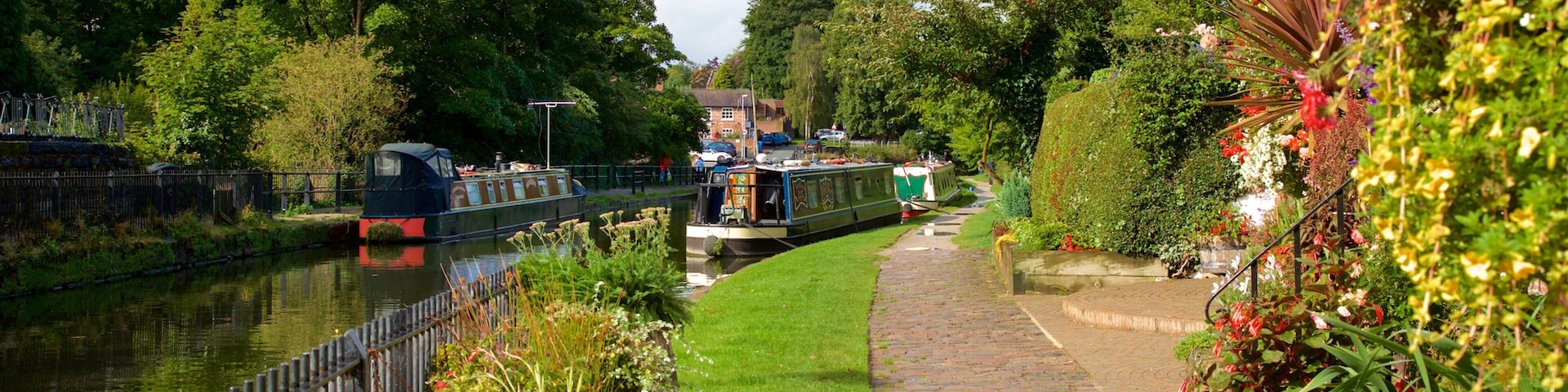 Lymm caracterizando um jardim, um rio ou córrego e flores silvestres