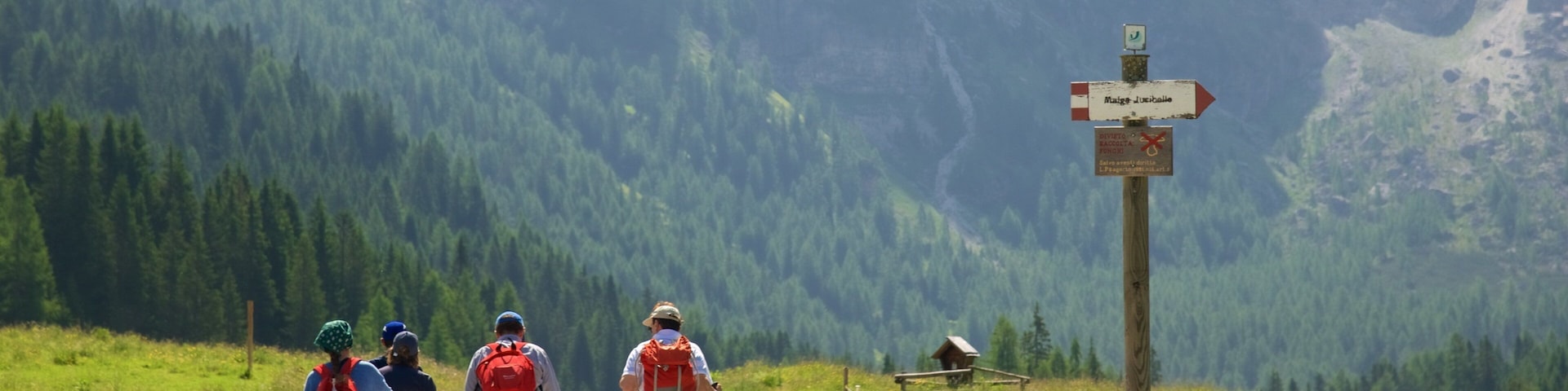 Trentino showing signage and hiking or walking as well as a small group of people
