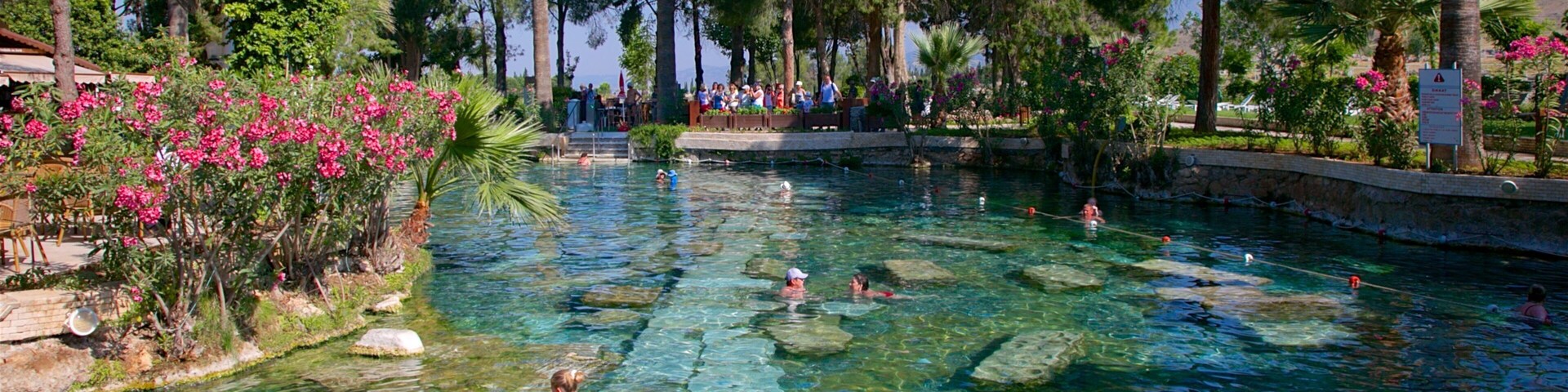 Antique Pool which includes swimming and a pool as well as a small group of people