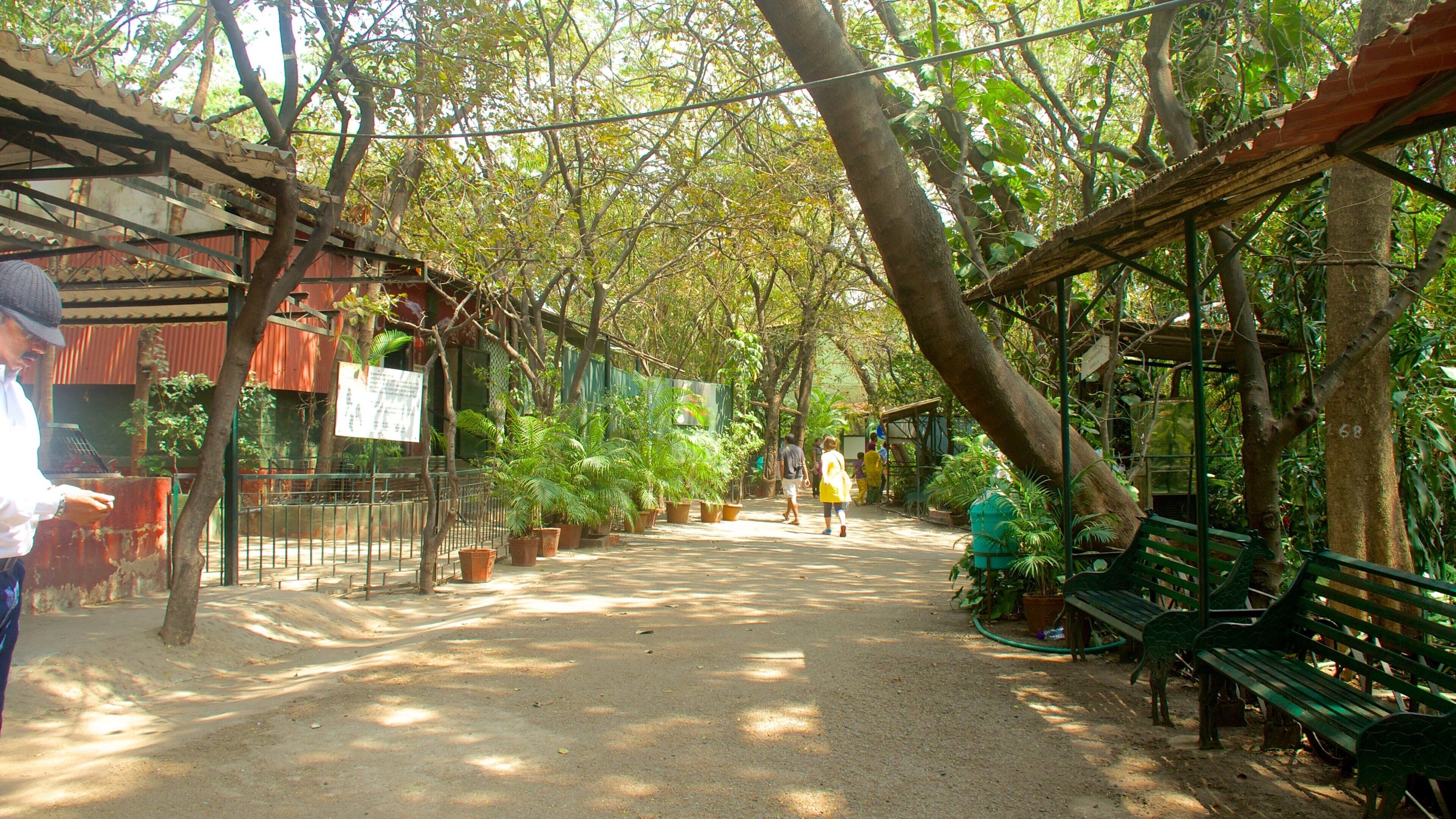 Pune featuring a park