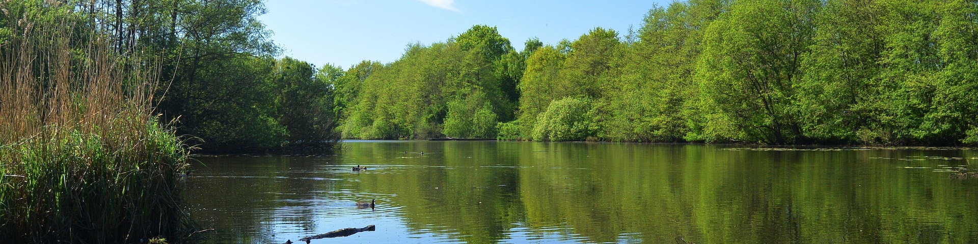 Helmuth-Schack-See, Hamburg