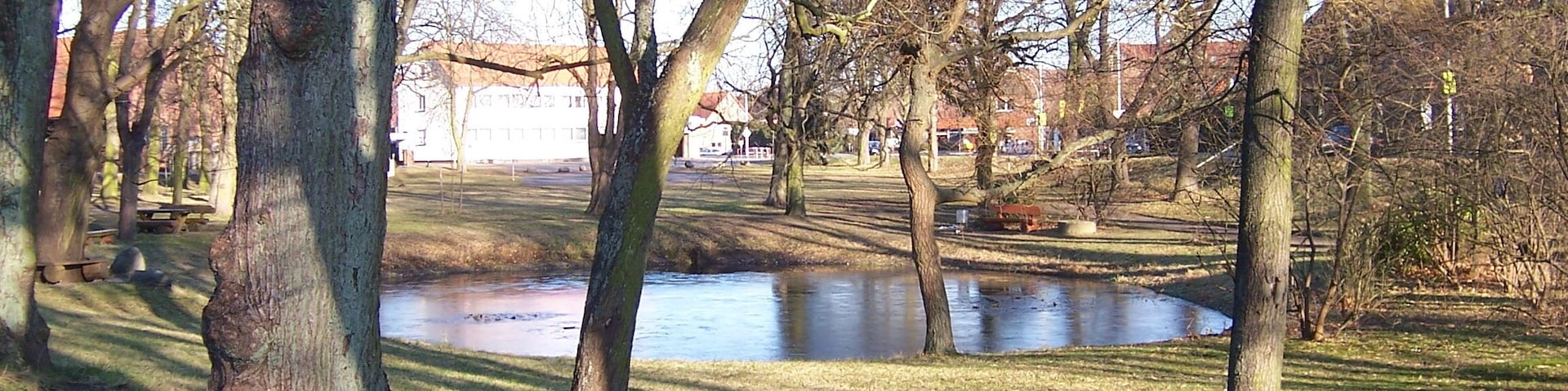 The Lehrte-Aligse pond from south-west