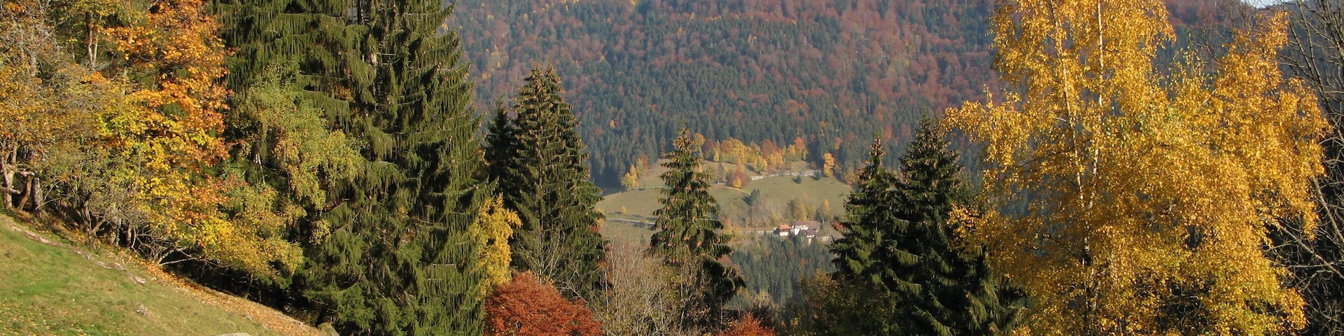 Die Hintereckhütte gesehen am Vesperplatz unterhalb der Zweribachwasserfällen am Zweitälersteig im Schwarzwald.