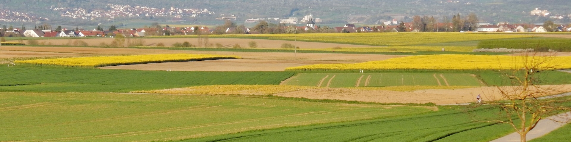 Blick Richtung Schönbuchrand