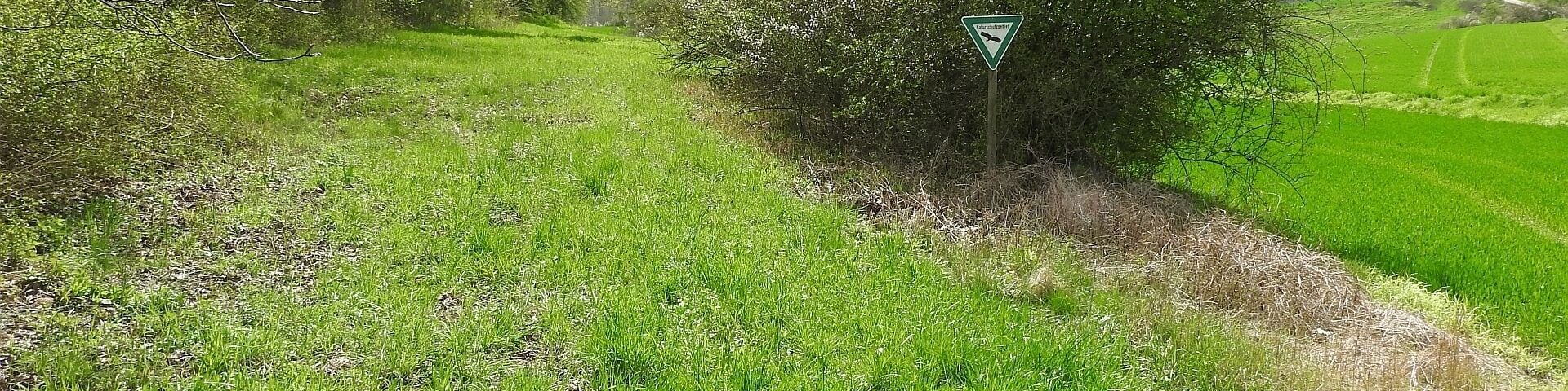 Naturschutzgebiet Beim Roten Kreuz, 12.04.2016