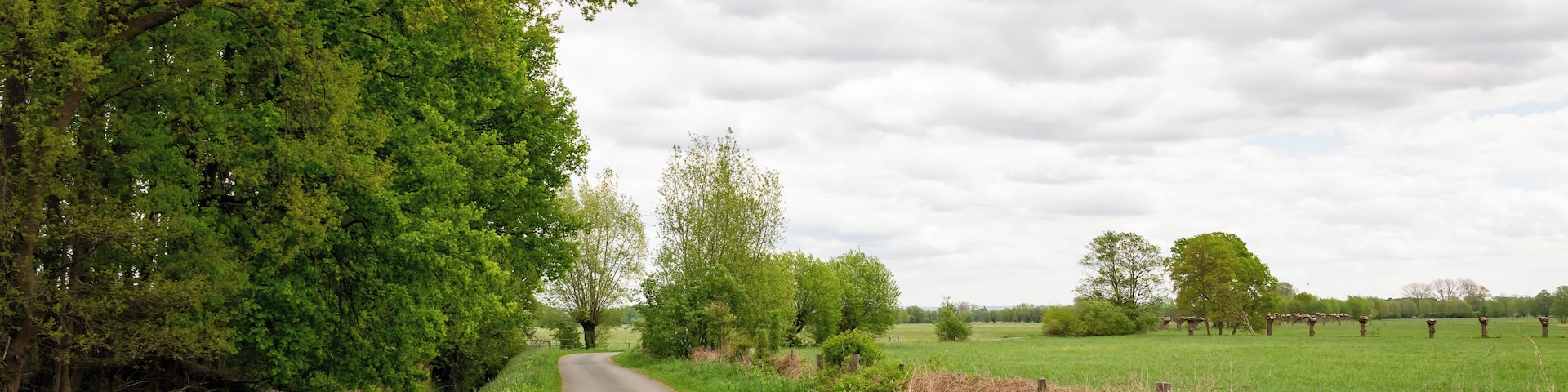 Naturschutzgebiet Gunnewiesen in Delbrück und Salzkotten, Kreis Paderborn; Teilgebiet in Salzkotten