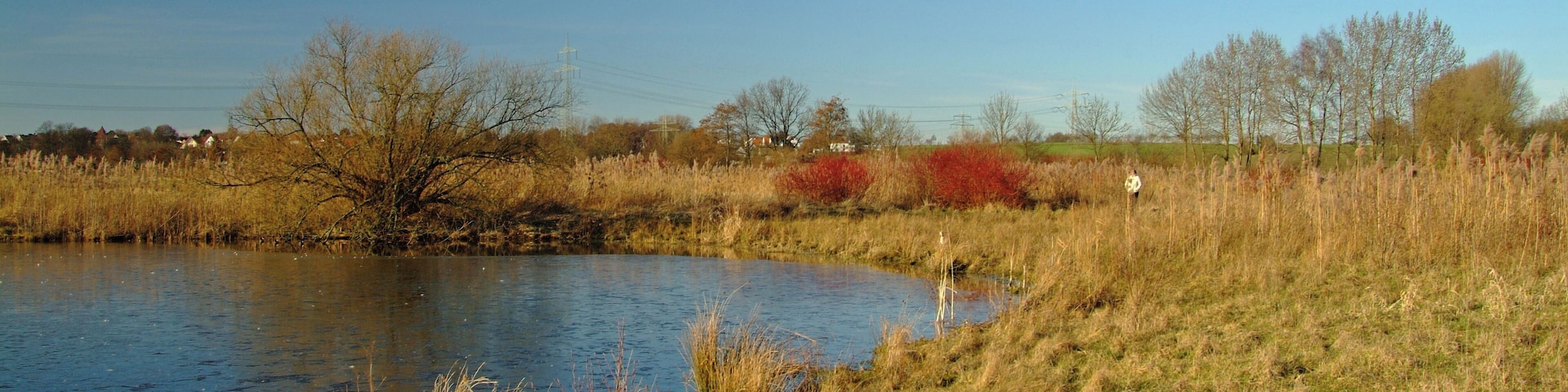 Little lake in nature reserve Fuellenbruch in Herford and in Hiddenhausen, District of Herford, North Rhine-Westphalia, Germany.