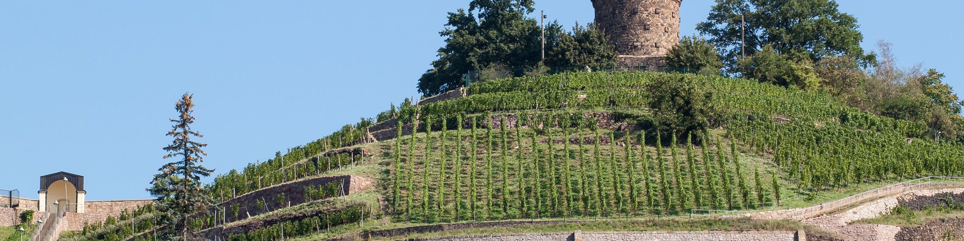 Bismarckturm Radebeul