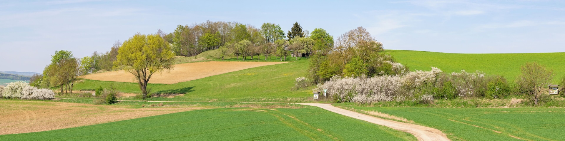 Naturschutzgebiet Kalkmagerrasen bei Ossendorf in Warburg-Ossendorf, Kreis Höxter; mittlerer Bereich