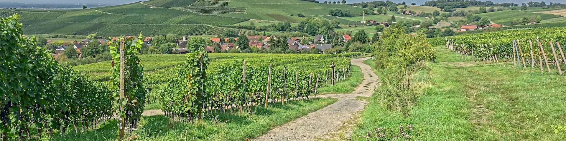 Blick nach Mauchen und auf den Himmelberg