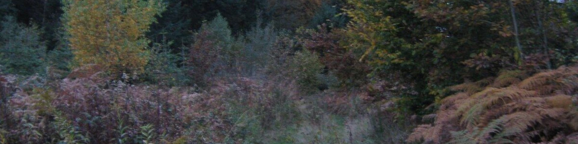 Odenwald