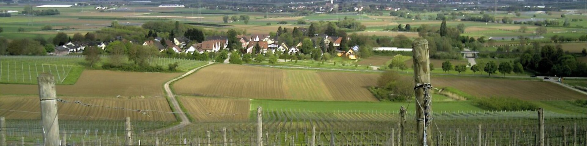 May Scherzingen Panorama