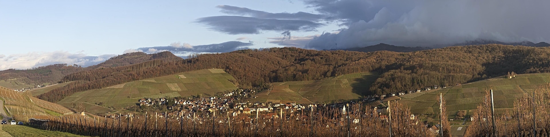 Panoramablick auf Pfaffenweiler vom Batzenberg aus