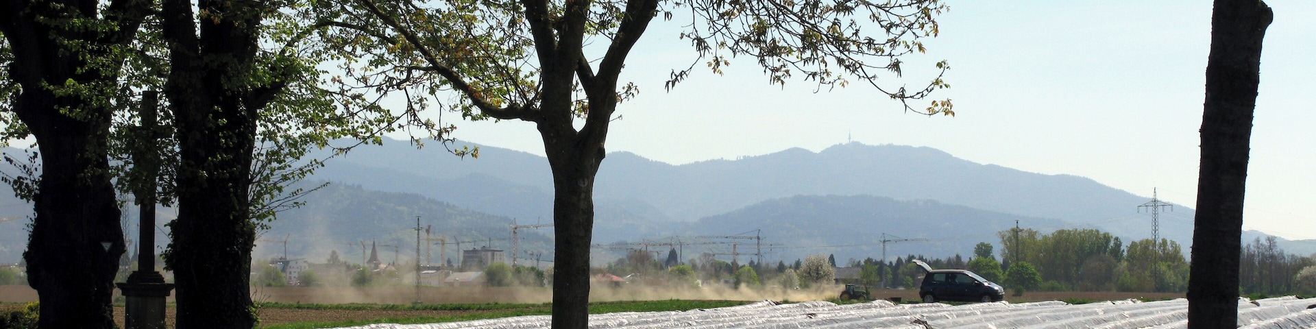 Spargelfeld in Bad Krozingen-Biengen mit Blauen