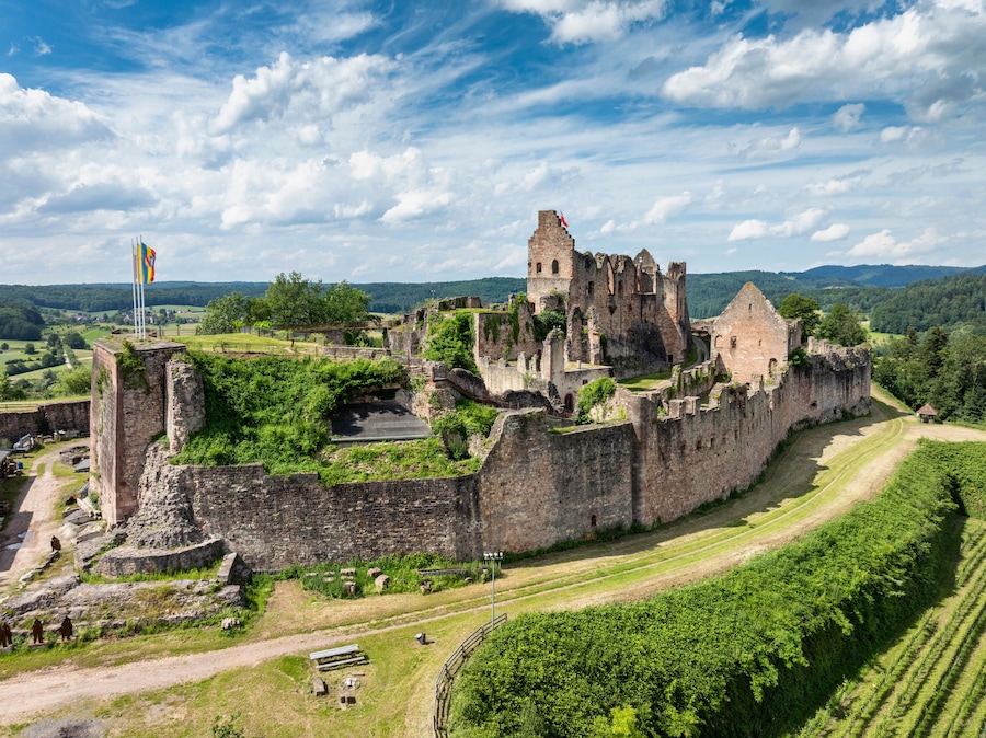 Um castelo histórico cercado por vegetação exuberante e um céu límpido.