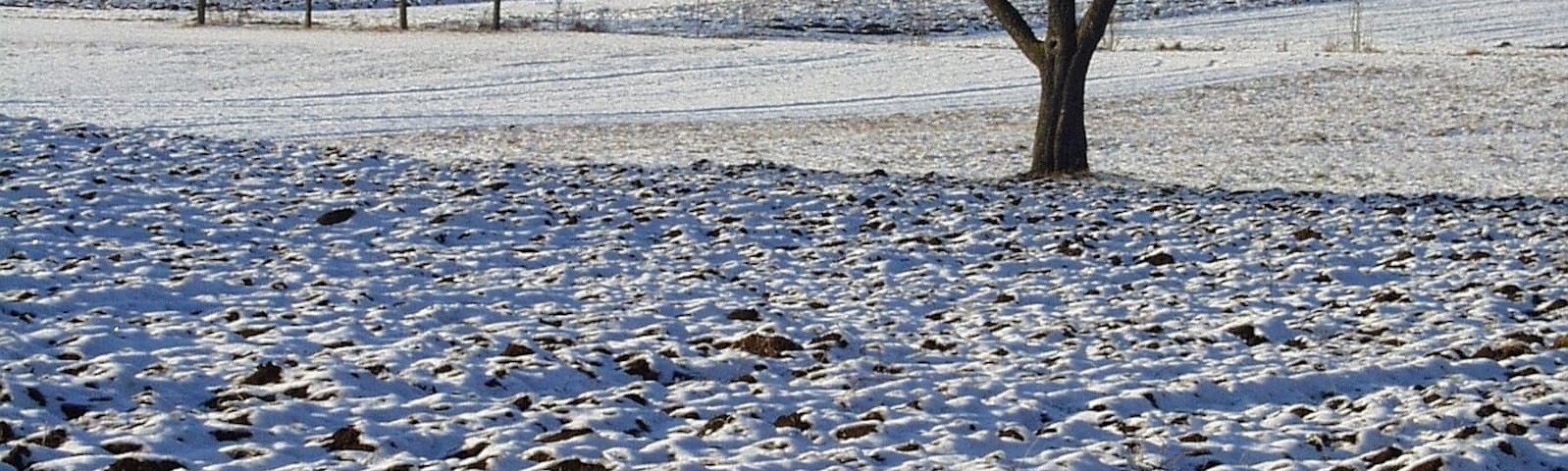 Farm with snow-covered landscape