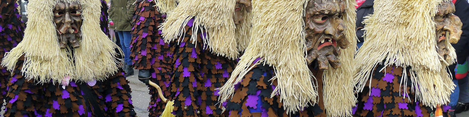 Die Wurzelgeister Freiamt beim Umzug der Narrenzunft Möslegeister Buchholz e.V. am 19. Februar 2017