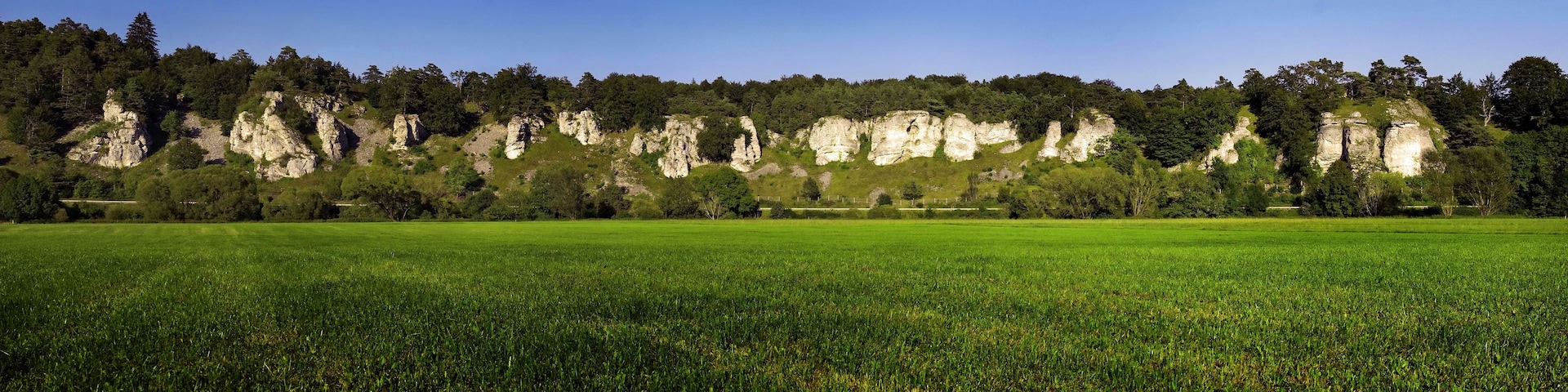Um campo com um penhasco rochoso ao fundo.