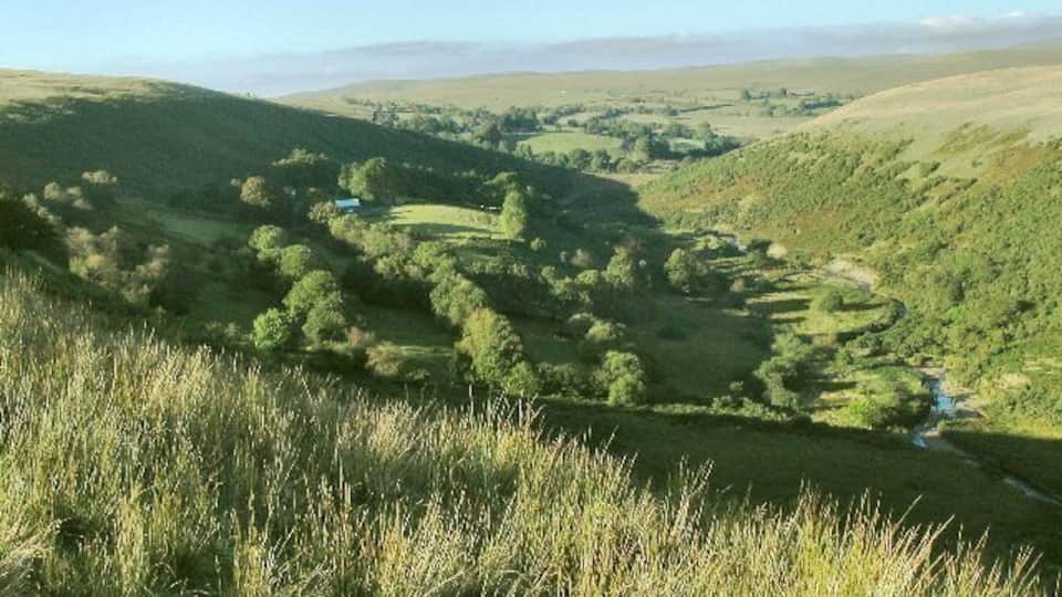 Clydach valley near Lygos The wet valley looks quite lush and green compared to the yellow hills around it.