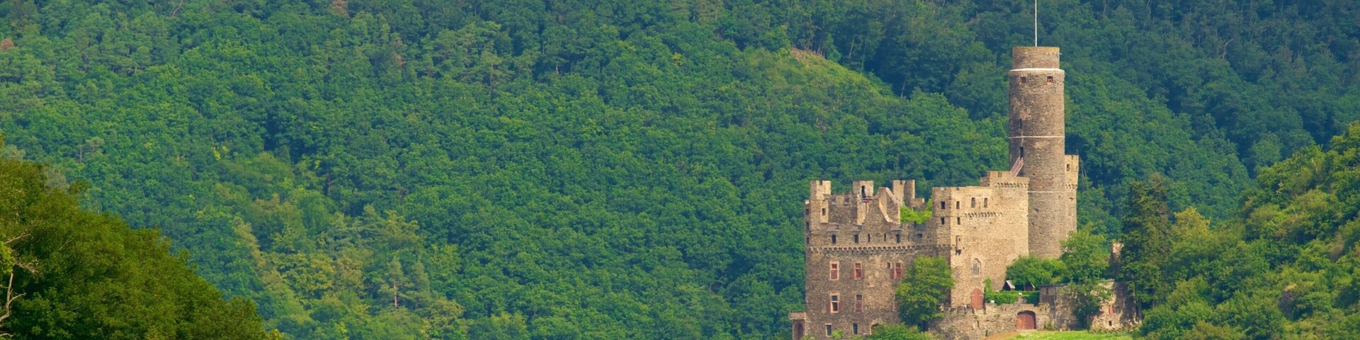 Sankt Goarshausen featuring landscape views, chateau or palace and tranquil scenes