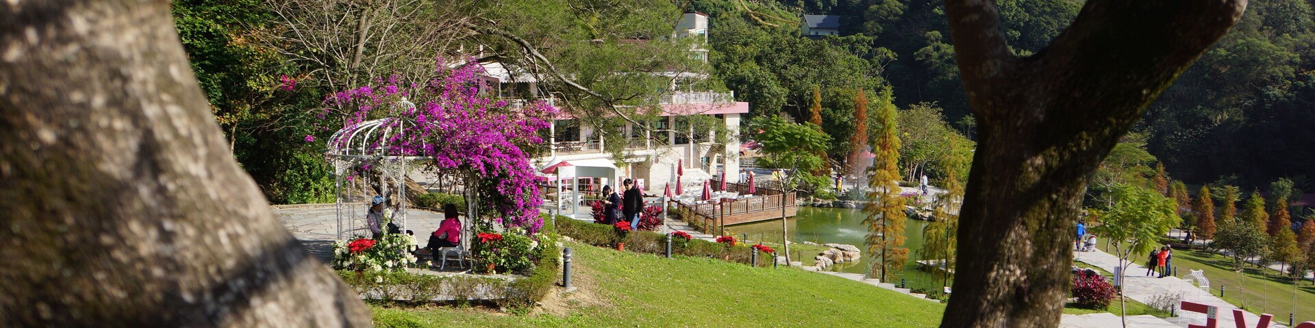 心鮮森林 Fresh Heart Forest