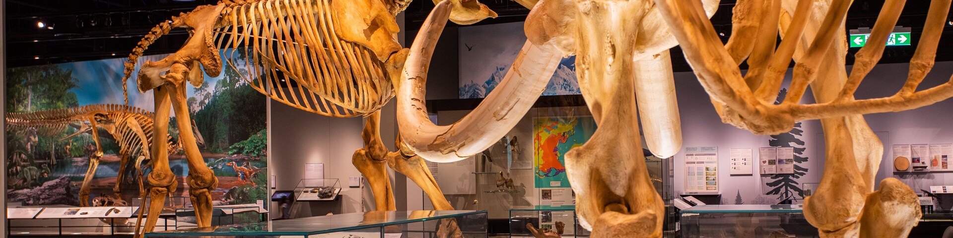 Royal Alberta Museum showing heritage elements