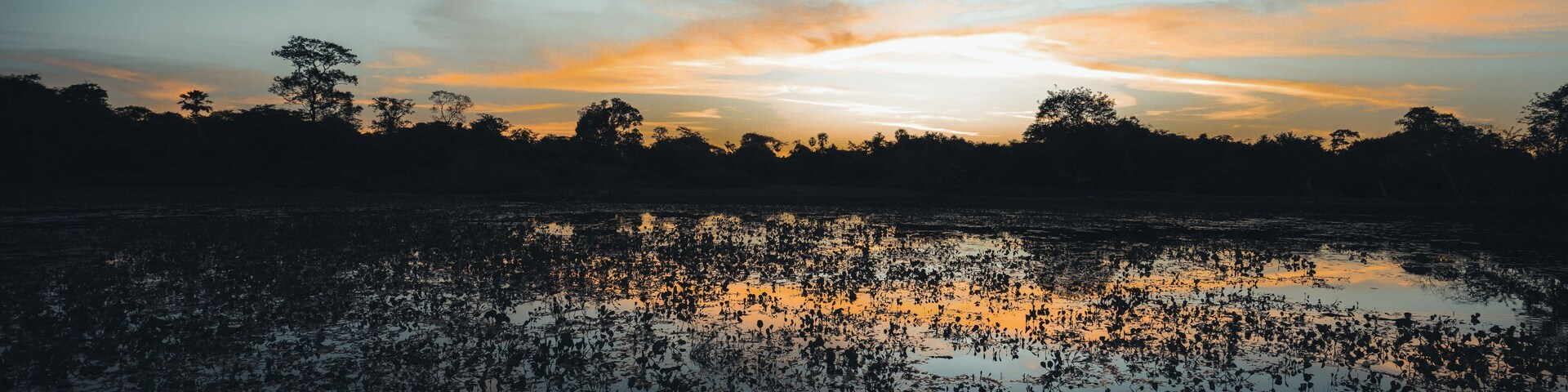 Pôr do sol sobre a água, com reflexos, rodeado por árvores.