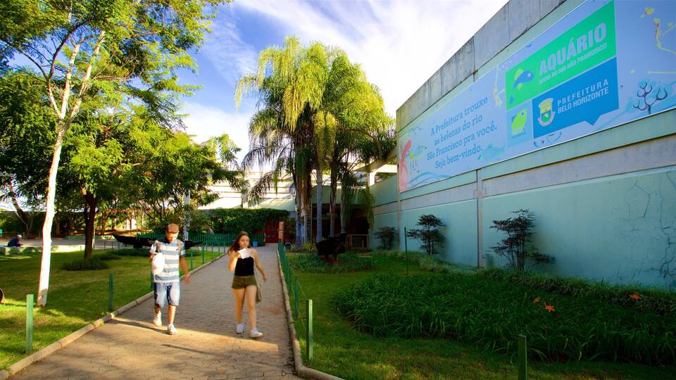 Aquário de Belo Horizonte mostrando sinalização e um parque assim como um casal