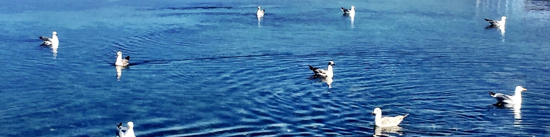 Urla; İzmir