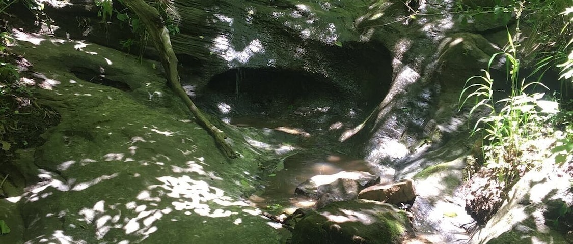 Amazing surprises around every corner.
#TakeAHike