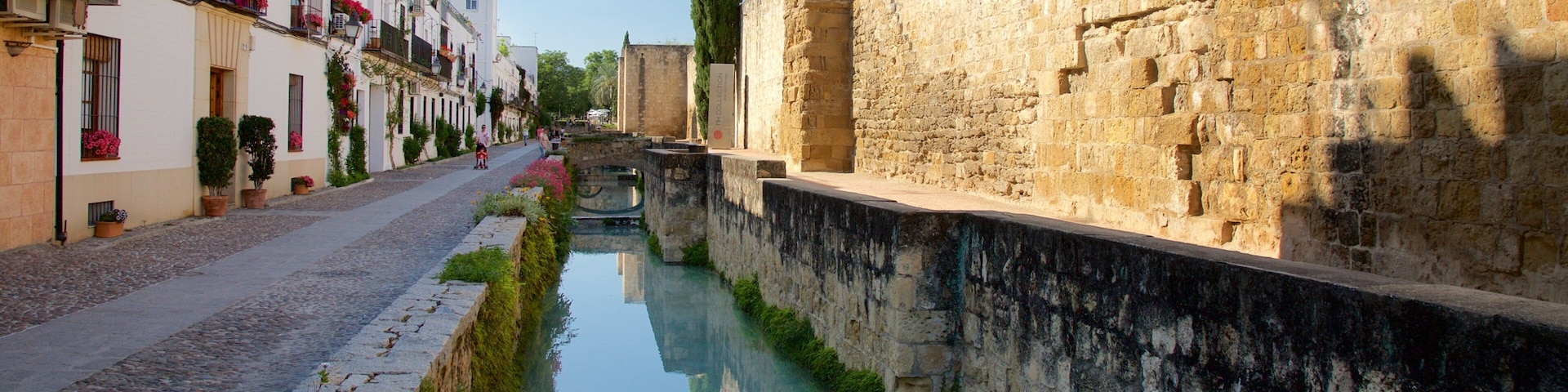 Cordoba showing a river or creek and a small town or village