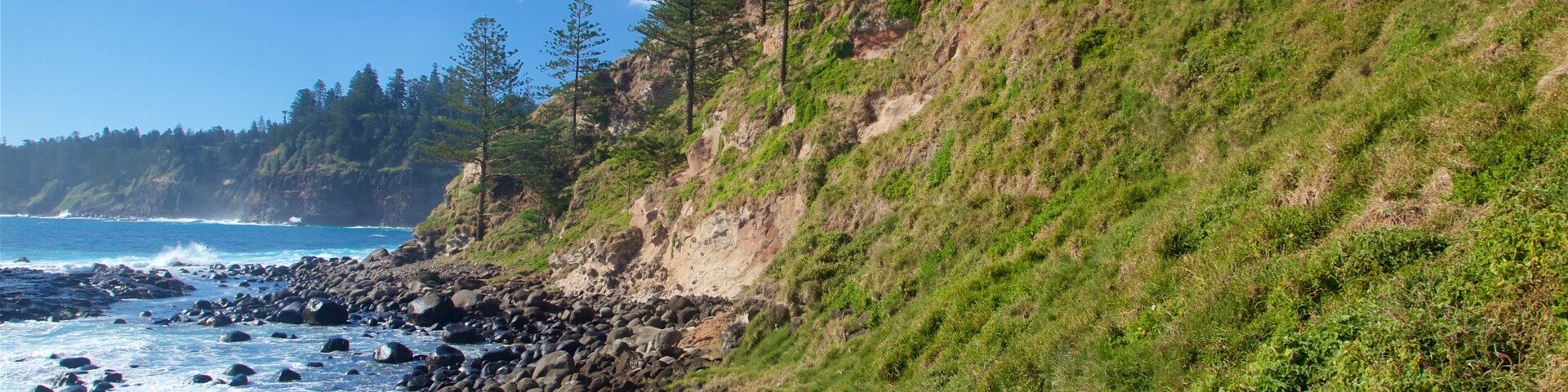 Um litoral rochoso com ondas quebrando na costa, uma encosta gramada e uma floresta ao fundo.