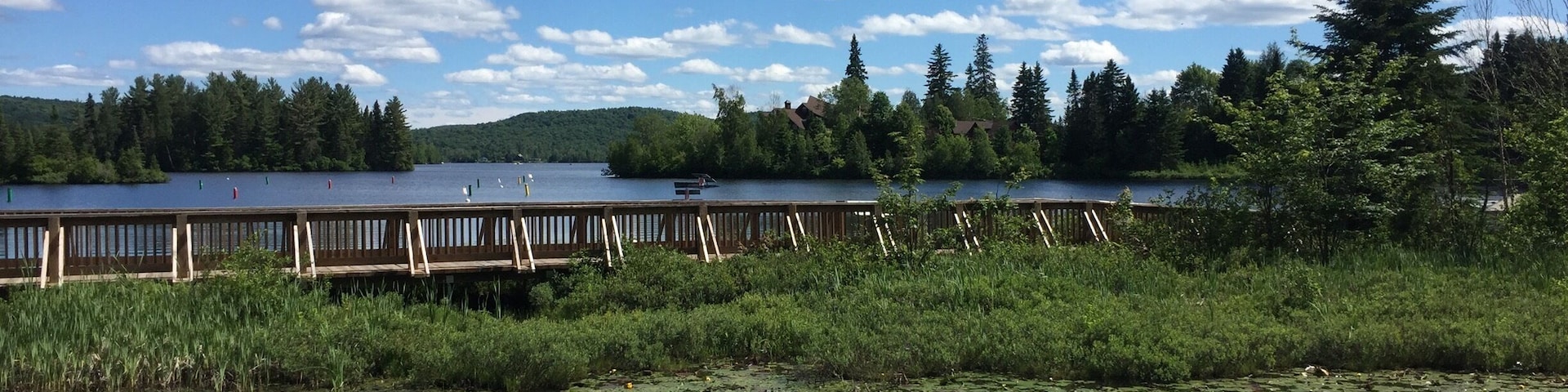 Seen while biking along the 329 through Lantier. Worth disembarking and wander the footbridges.