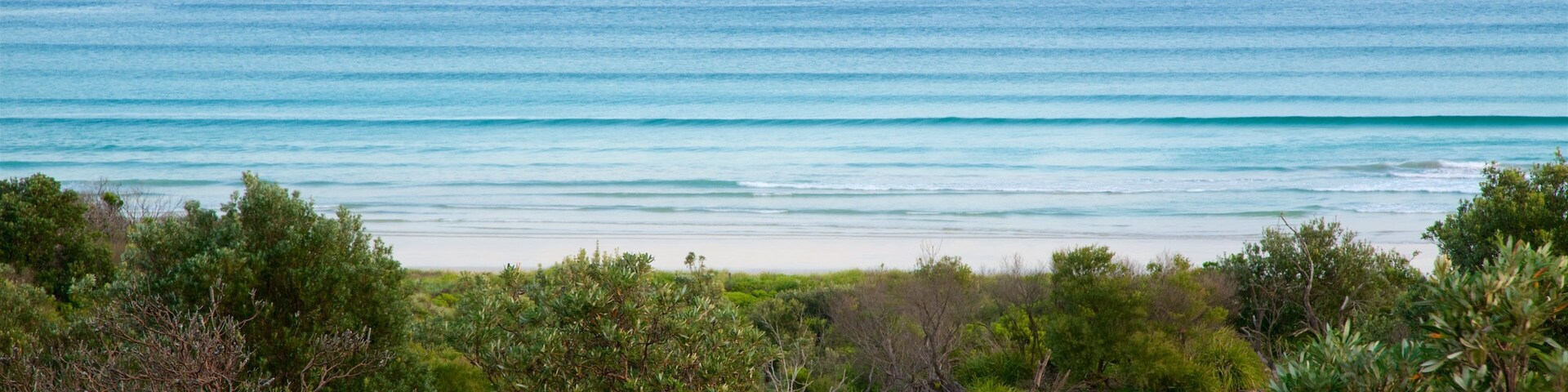 Cave Beach featuring forest scenes and waves