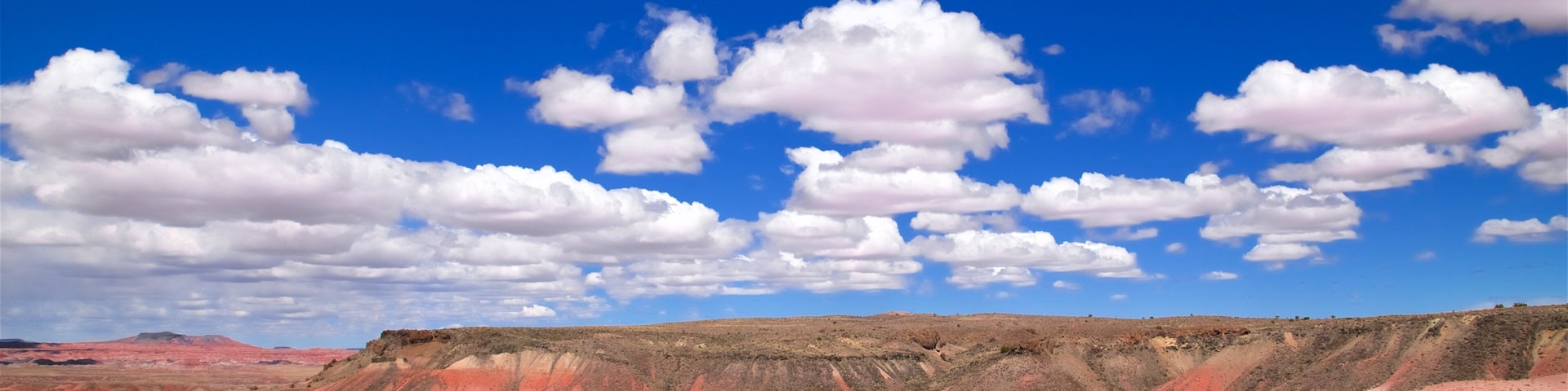 Petrified Forest National Park que inclui paisagem e paisagens do deserto