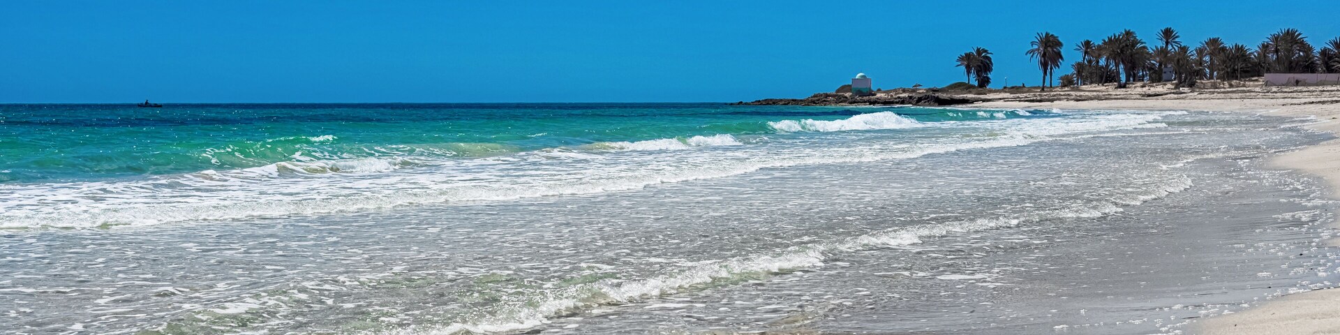 Uma praia com águas turquesa cristalinas, ondas suaves e uma fileira de palmeiras ao fundo.