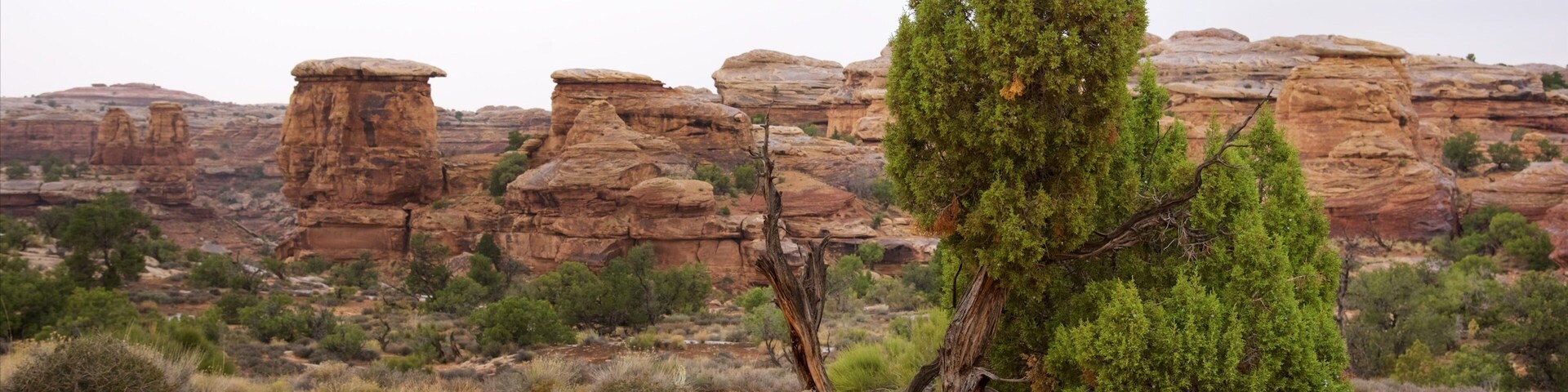 Big Spring Canyon Overlook which includes a gorge or canyon and desert views