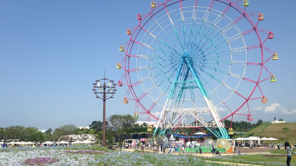 海の中道海浜公園の観覧車とネモフィラ