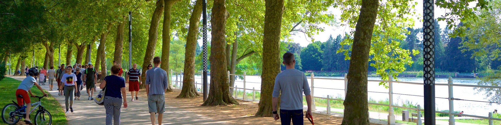 Vichy featuring hiking or walking, cuddly or friendly animals and a park