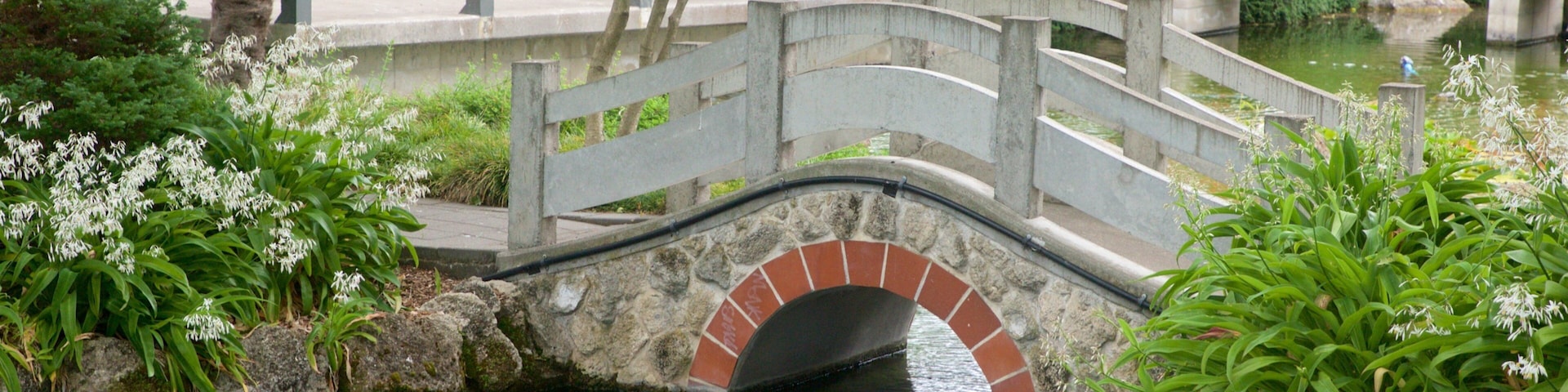 Hastings featuring a river or creek, bird life and a bridge