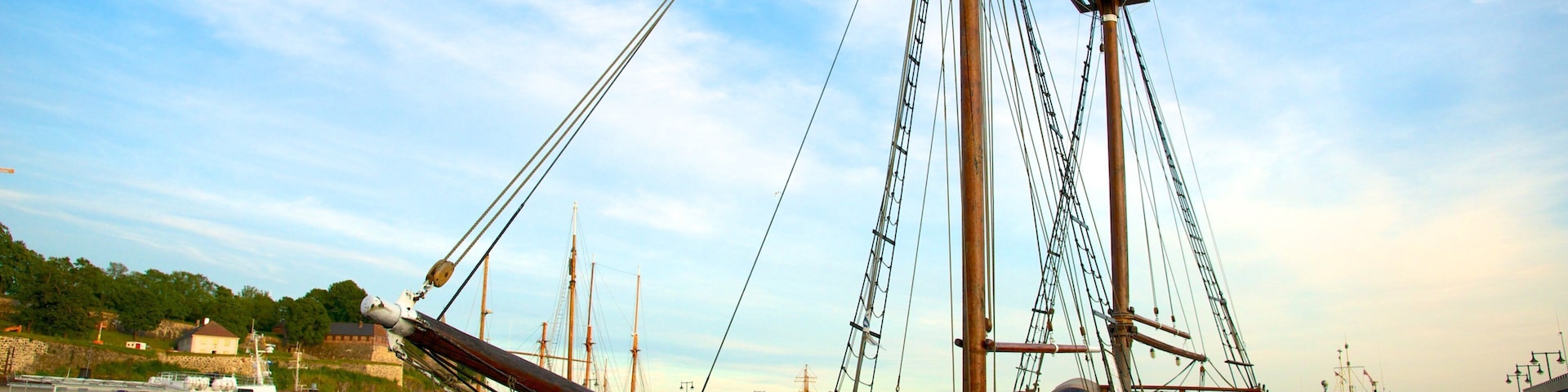 Oslo featuring general coastal views and a marina